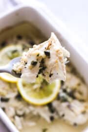 Baked Triggerfish Recipe - The Top Meal