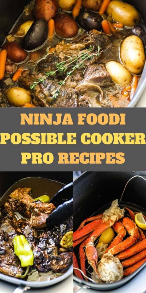 Easy Ninja Foodi Possible Cooker Pro Recipes - The Top Meal