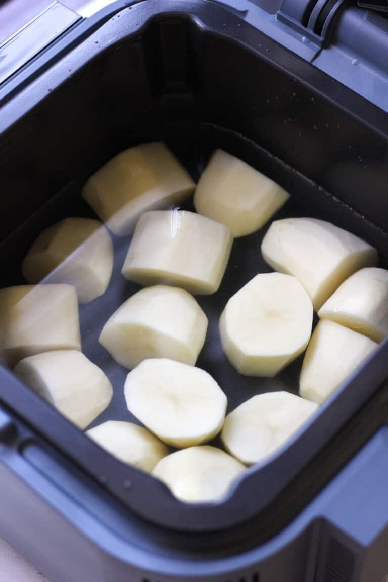 Ninja Speedi Turkey Breast - The Top Meal